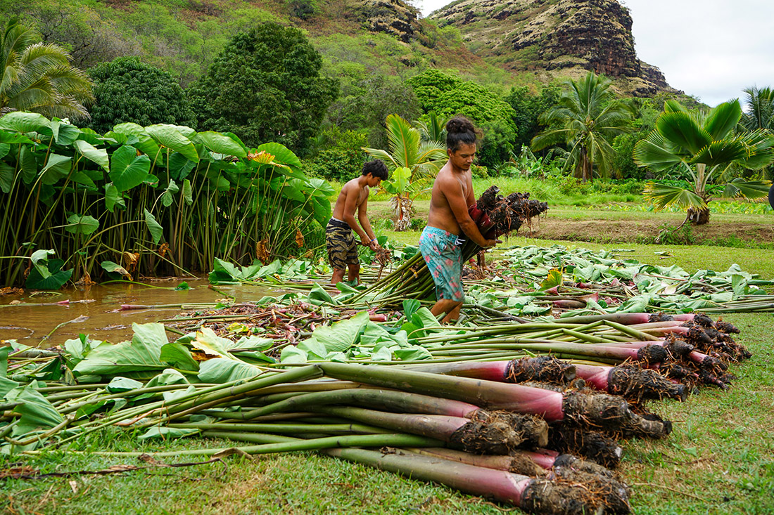 Home - NDN FOR THE PEOPLE